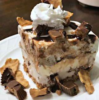 Fun with Cheesecake Ice Cream Lasagna and DIY Bubble Wands - We Got The ...