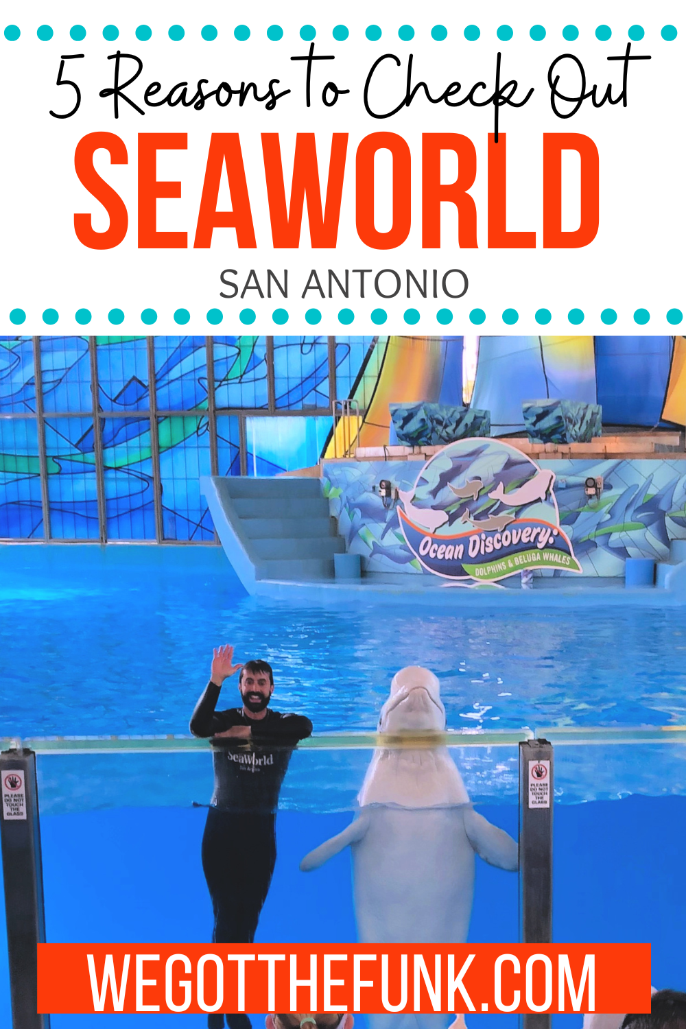 5 Reasons To Check Out SeaWorld - We Got The Funk