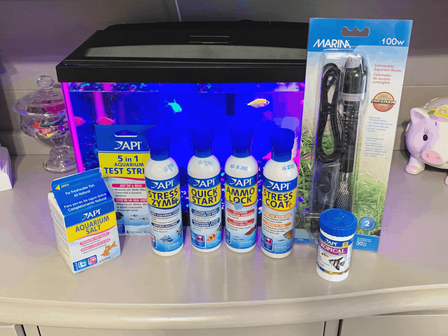 How to Teach Your Child to Care For Tropical Fish - We Got The Funk