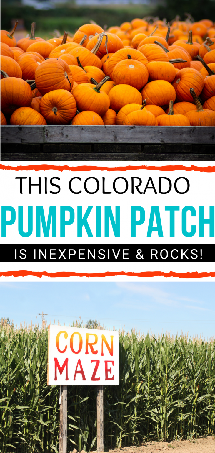 Pumpkin Patch Fun - We Got The Funk