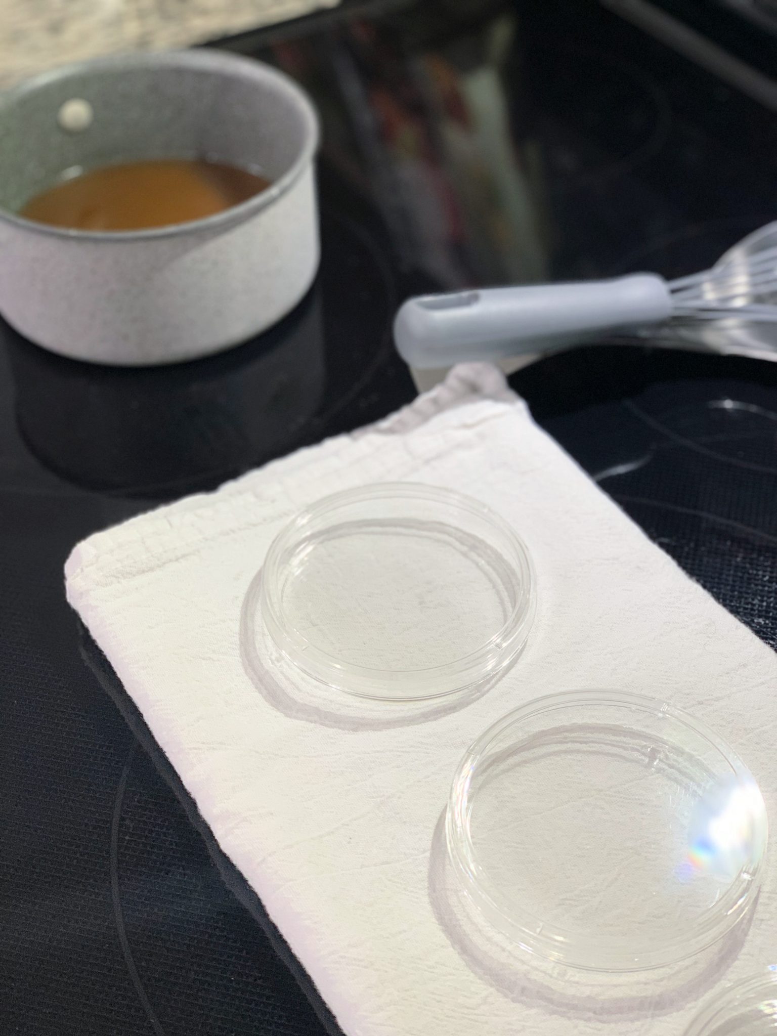 How to Make Agar Petri Dishes to Grow Bacteria - We Got The Funk